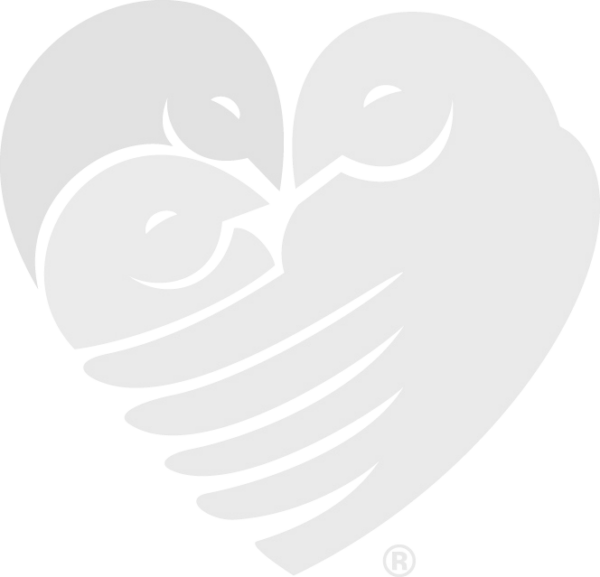 About - Petit Family Foundation